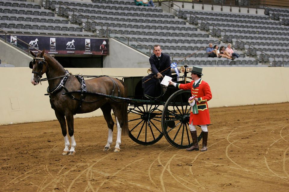 Carriages, Tack and Equipment For Sale – Waypoint Farm