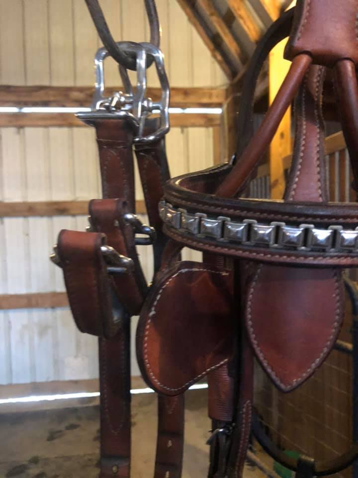Carriages, Tack and Equipment For Sale – Waypoint Farm