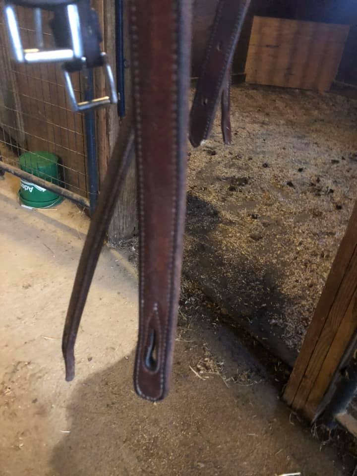 Carriages, Tack and Equipment For Sale – Waypoint Farm