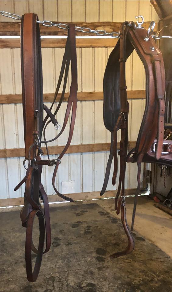 Carriages, Tack and Equipment For Sale – Waypoint Farm